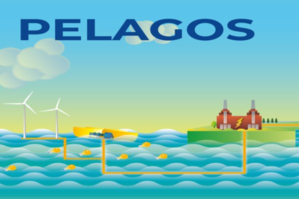 PELAGOS | Atlantik Fish – Pescado da Maré